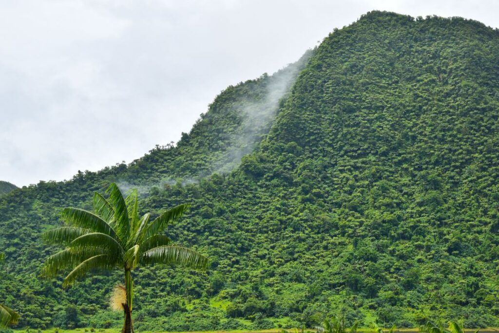 Samoa Weather, Seasons & Climate + Weather by Month