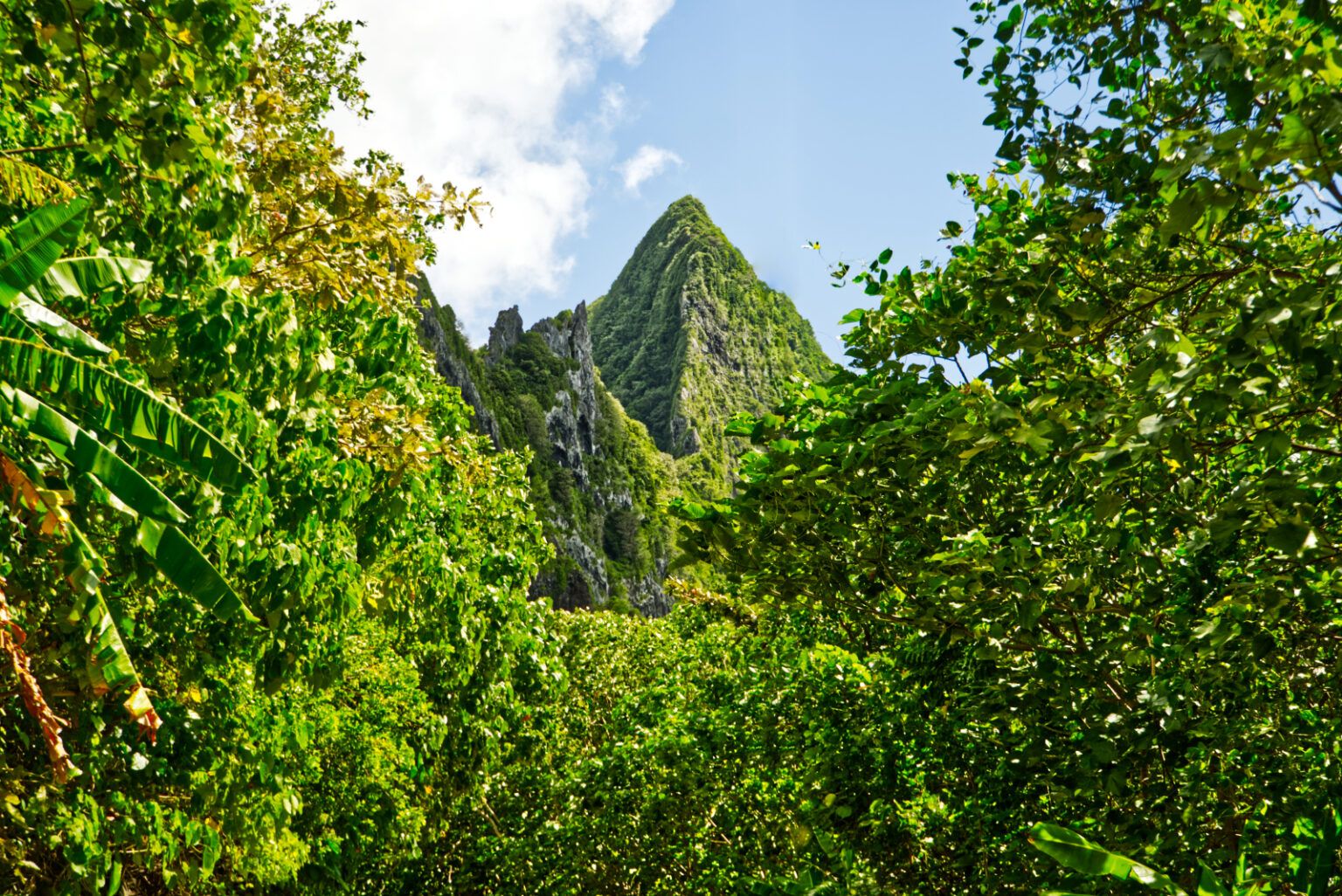 What's the Difference Between Samoa and American Samoa?