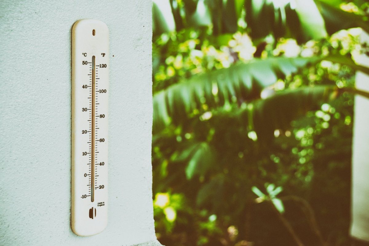 Samoa Weather, Seasons & Climate + Weather by Month