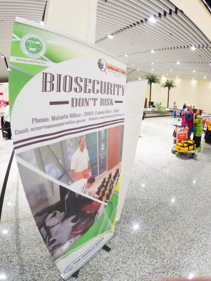 Taking Food to Samoa: What You Need to Know