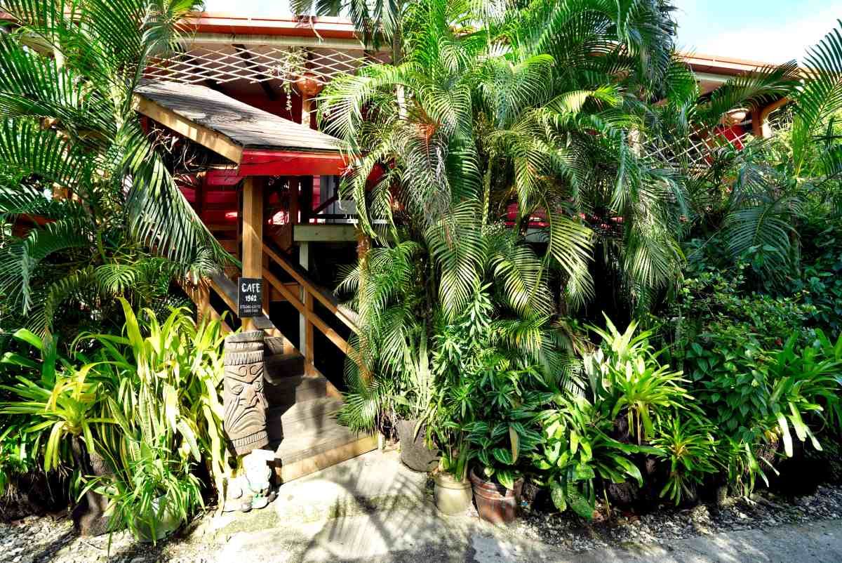 The Top Cheap Eats in Apia & Upolu 🍕 2025 - Samoa Pocket Guide