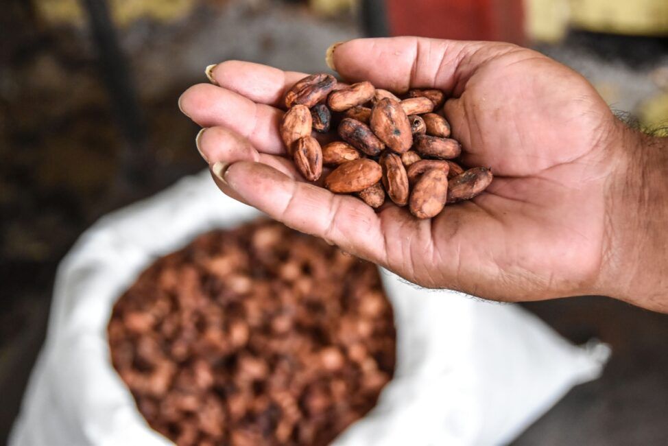 51 BEST Things to Do on Savai'i ☀️ [2025] - Samoa Pocket Guide