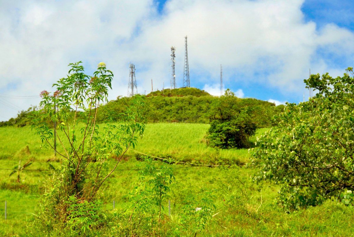 16 Best Walks & Hikes in Samoa 🥾🌴 - Samoa Pocket Guide