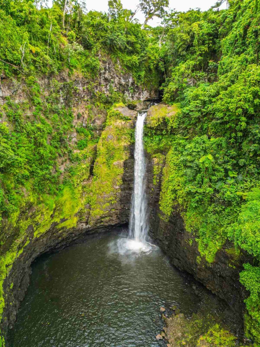 11 Things to Do on Upolu with Kids 👨‍👨‍👧‍👦 2025