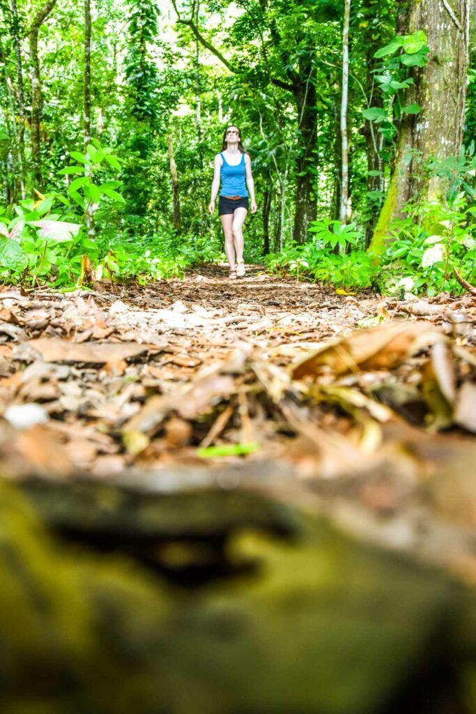 11 Best Walks & Hikes on Upolu - Samoa Pocket Guide