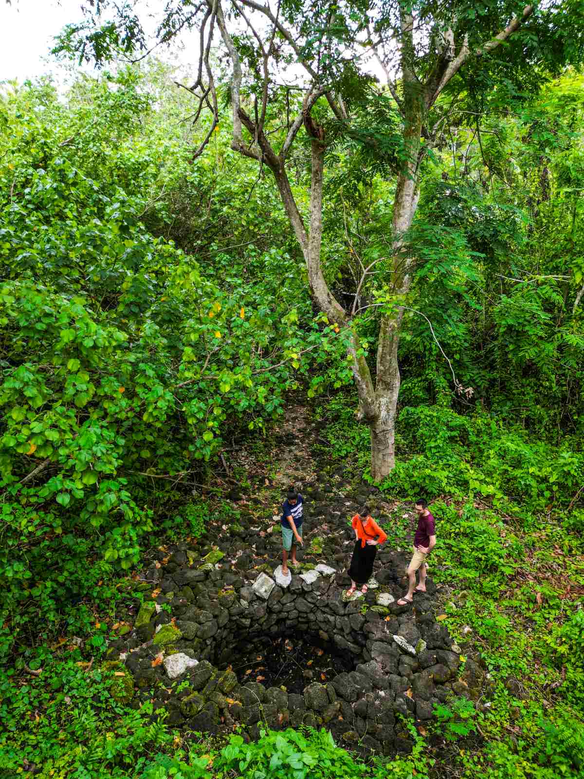 Sightseeing in Savai'i: Top 10 Sights on Savai'i 😍 [2025]