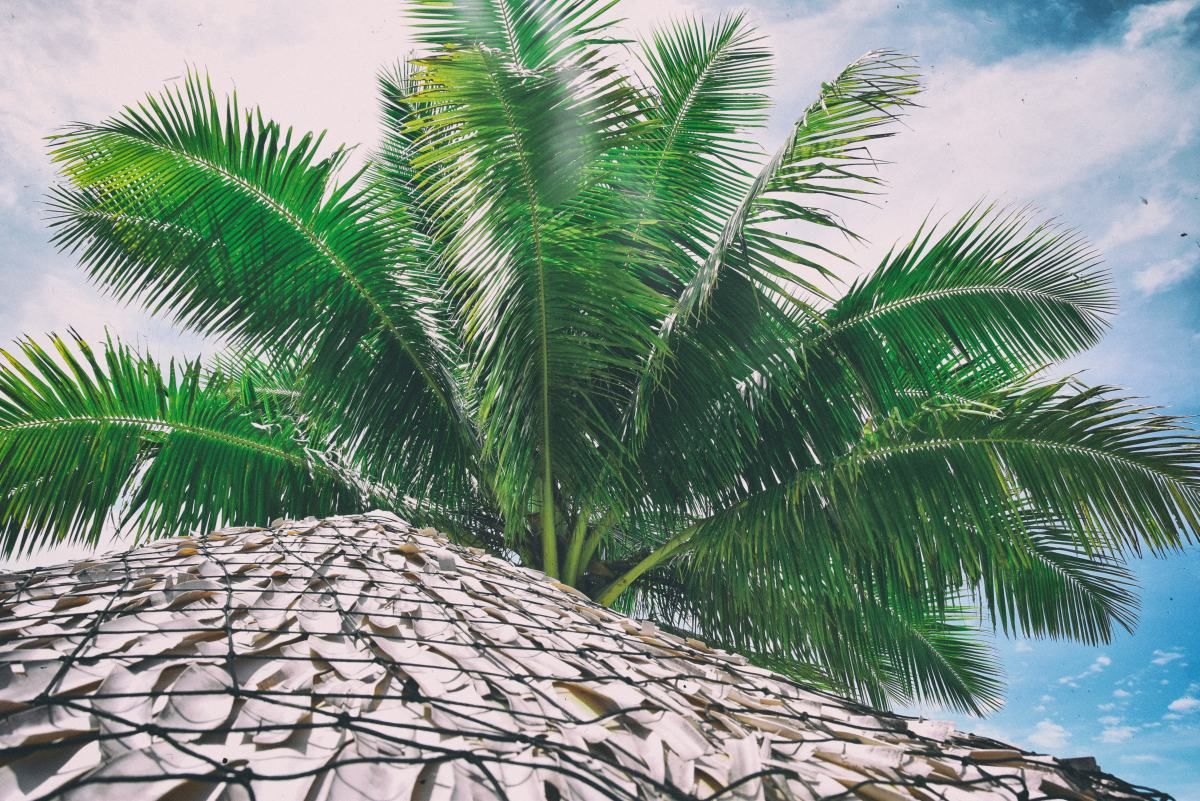 Upolu's Best Beach Fales – Our Top 10 Favourites