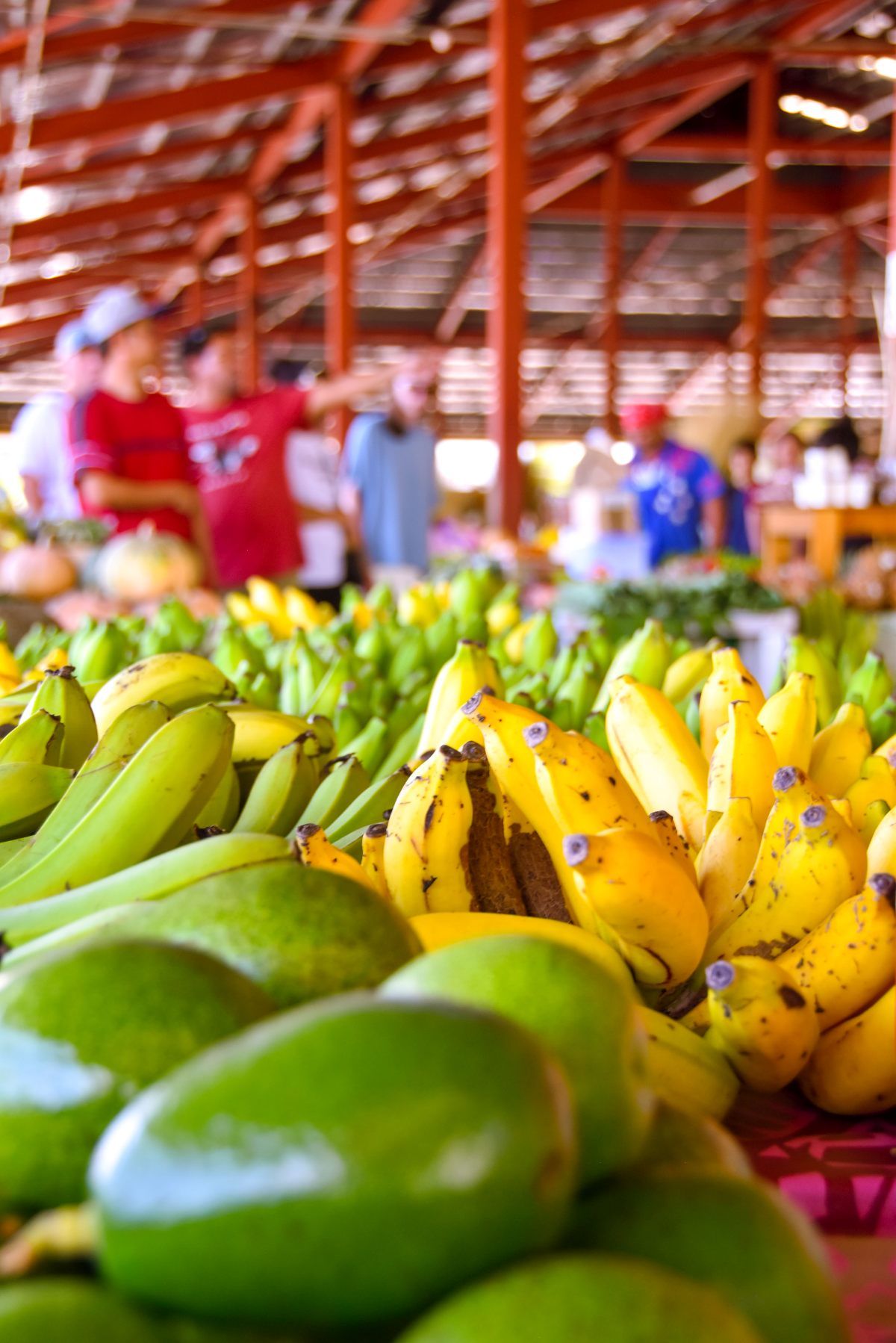 Our Top Picks for the 25 BEST Things to Do in Apia 2025