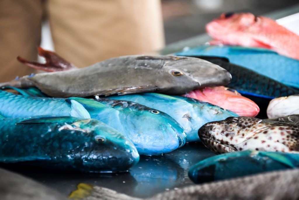 8 Best Markets in Samoa 🍍 [2026] - Samoa Pocket Guide