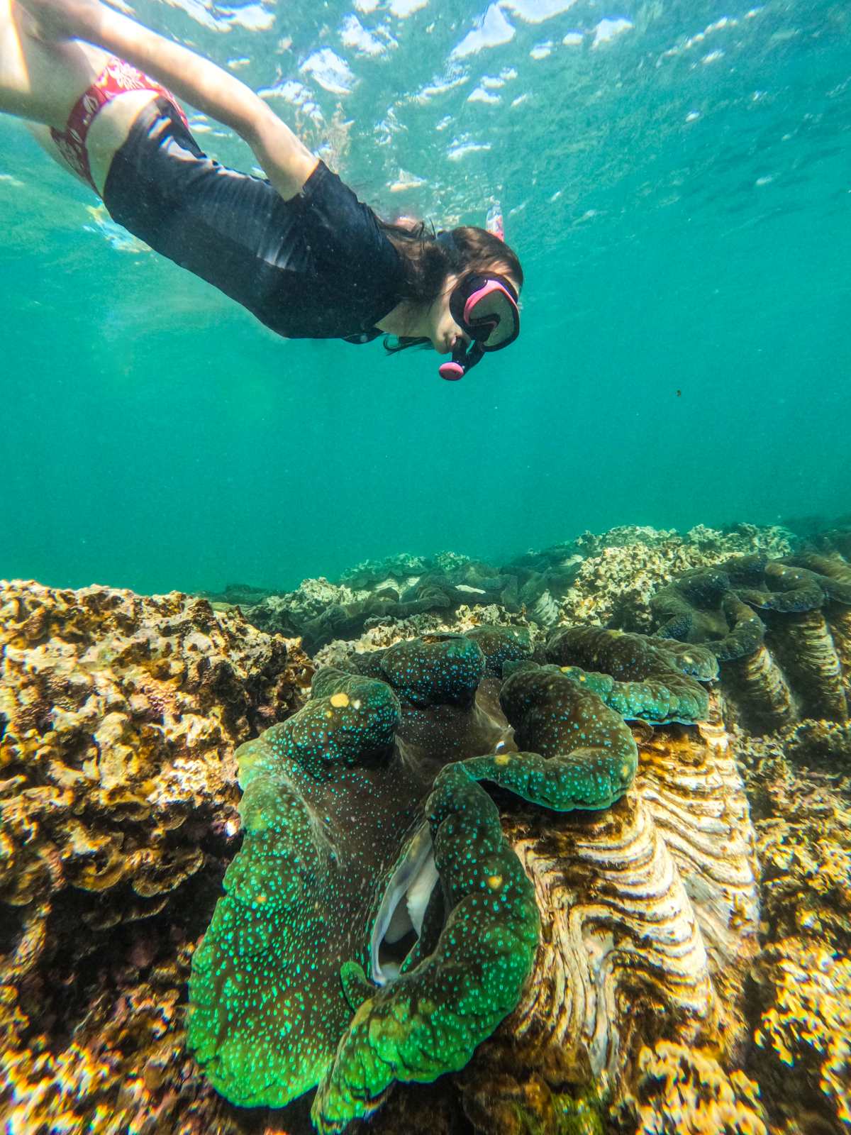 The Best Snorkelling in Samoa: Top 10 Places to Snorkel - Samoa Pocket ...