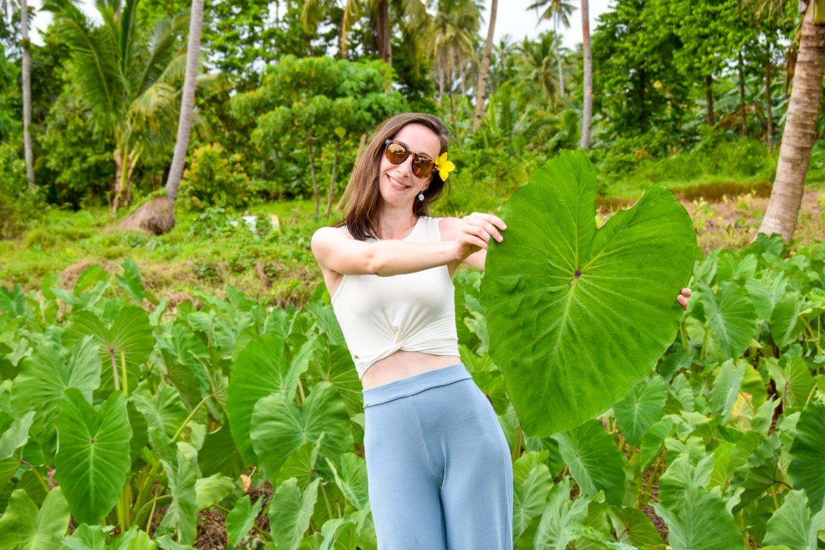 20 Best Cultural Tours & Activities in Samoa 🌺 2025