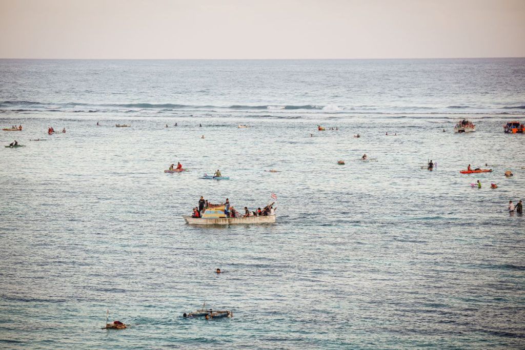 How to Experience the Palolo Season in Samoa - Samoa Pocket Guide