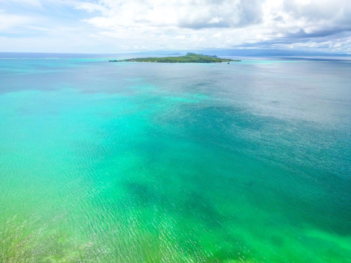 The Best Scuba Diving in Samoa: Top 10 Places to Dive 2026