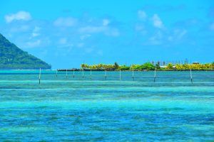 The Ultimate Guide to Fishing in Samoa 🎣 - Samoa Pocket Guide