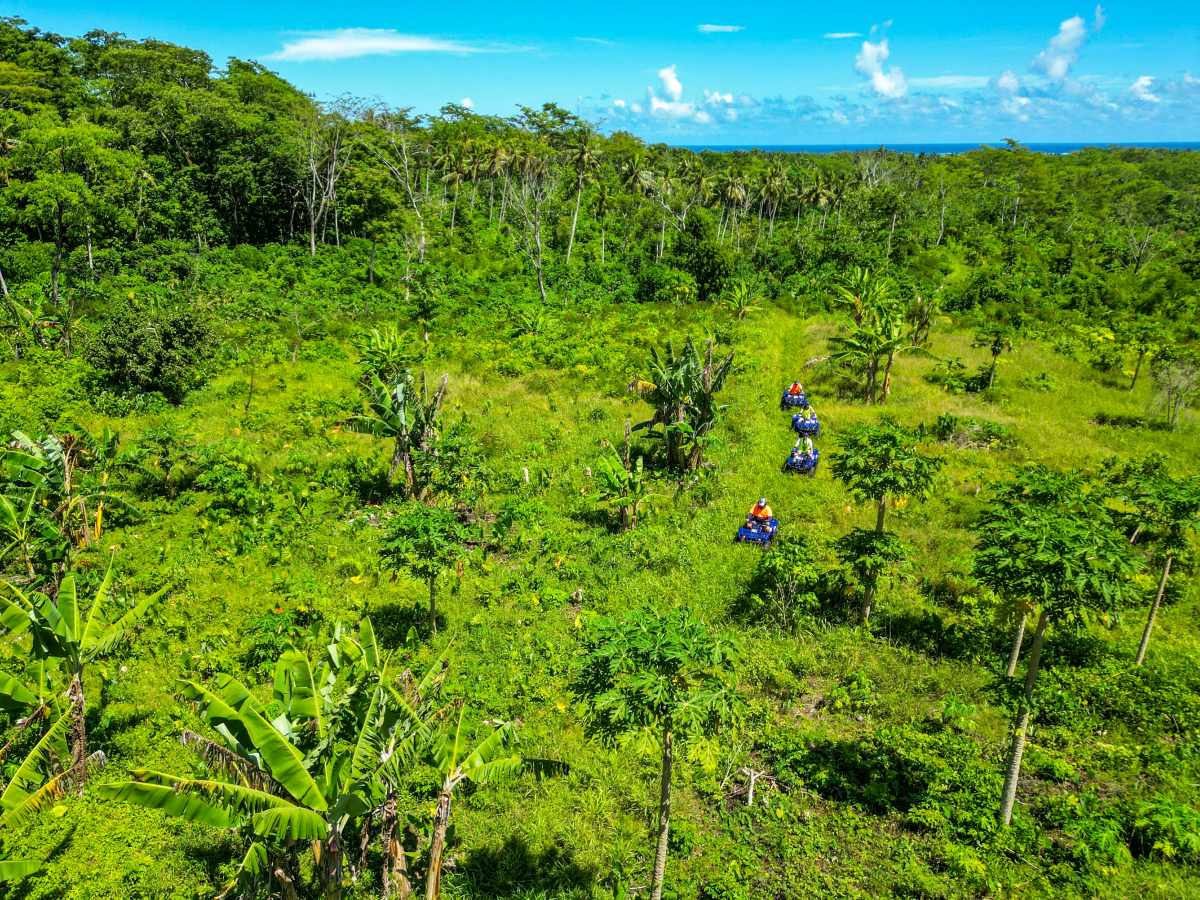The 5 Biggest Towns & Villages in Samoa - Samoa Pocket Guide