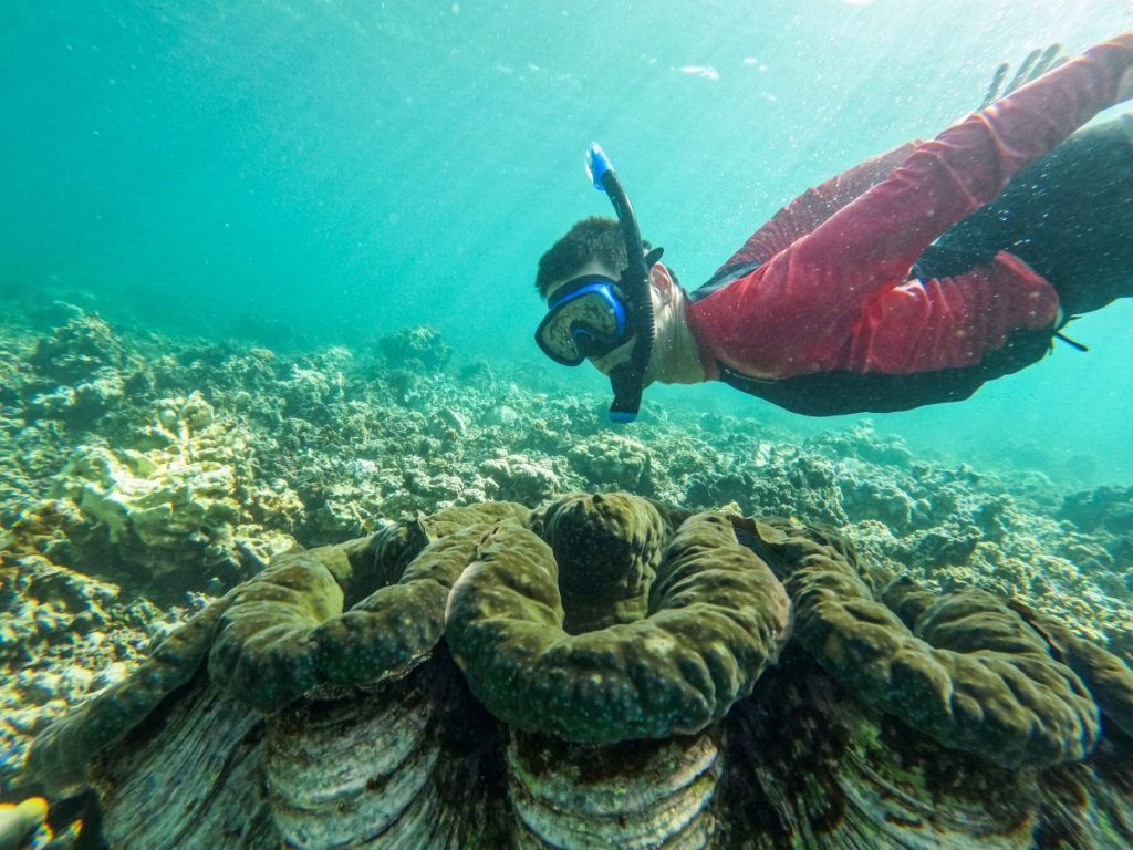 The Best Snorkelling in Upolu: Top 10 Places to Snorkel - Samoa Pocket ...
