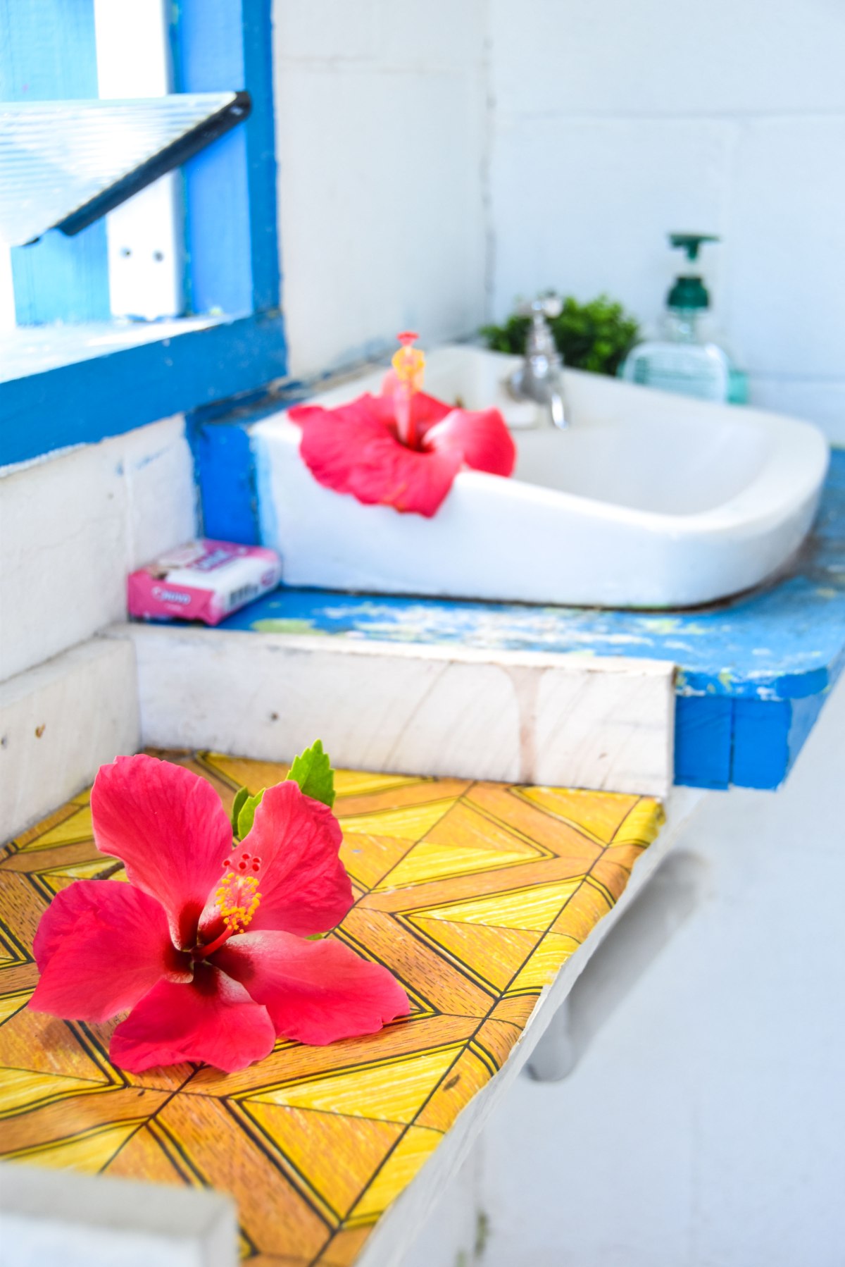 Staying in a Beach Fale in Samoa + 10 Essential Tips! 🌴 - Samoa Pocket ...