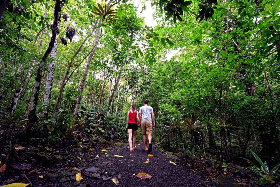 50 BEST Things to Do in Upolu 🤿 2026 - Samoa Pocket Guide
