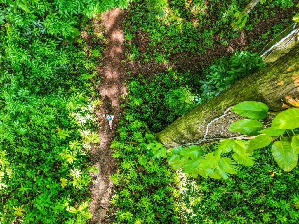 101 Best Things to Do in Samoa 🏝️ (Yes, We've Done Them All)