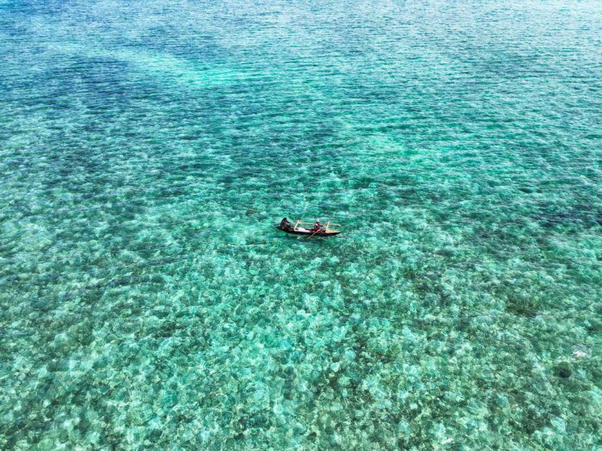 The Ultimate Guide to Fishing in Samoa 🎣 - Samoa Pocket Guide