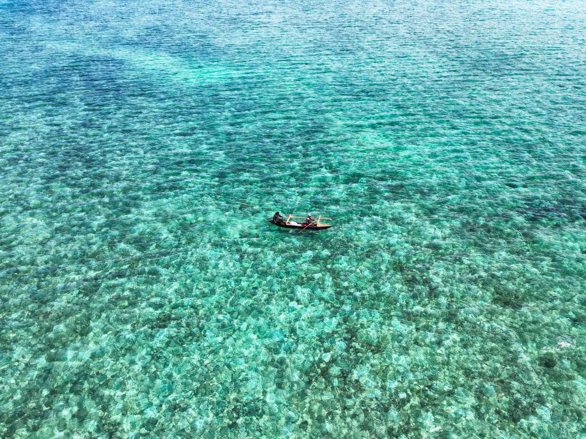 The Ultimate Guide to Fishing in Samoa 🎣 - Samoa Pocket Guide
