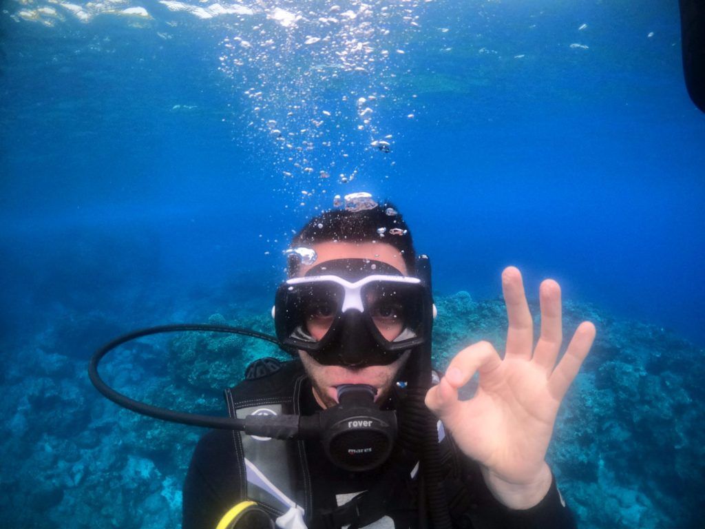 The Best Time to Dive in Samoa - Samoa Pocket Guide