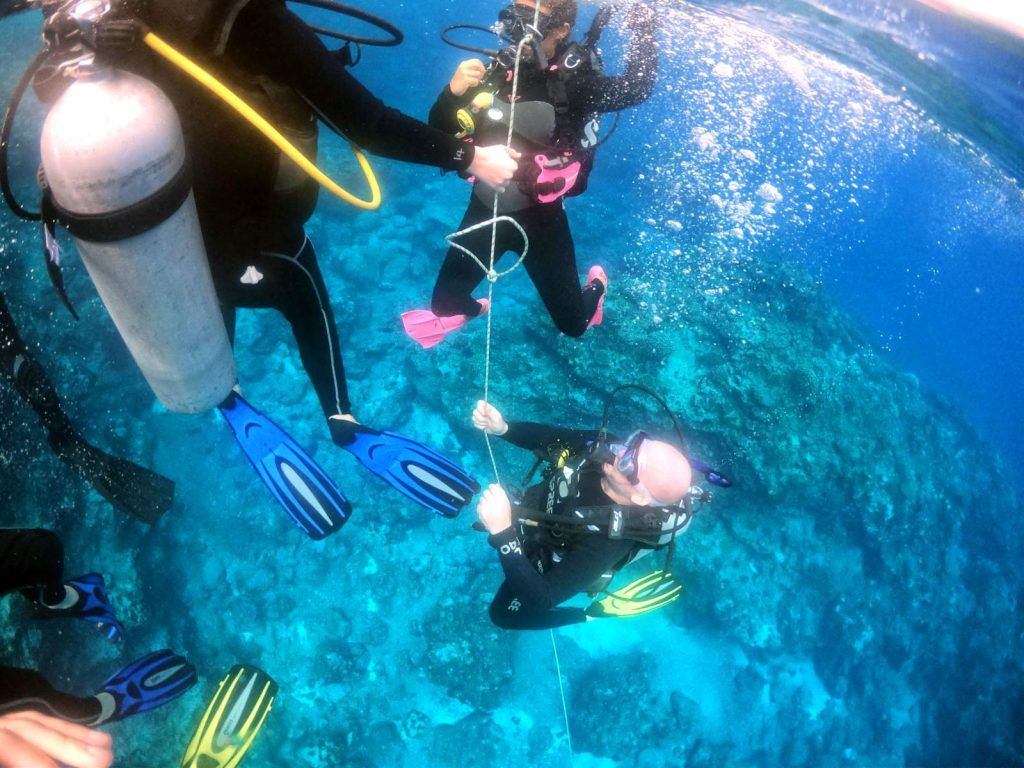Learn to Dive in Samoa: Where to Get Your Scuba Diving Certification
