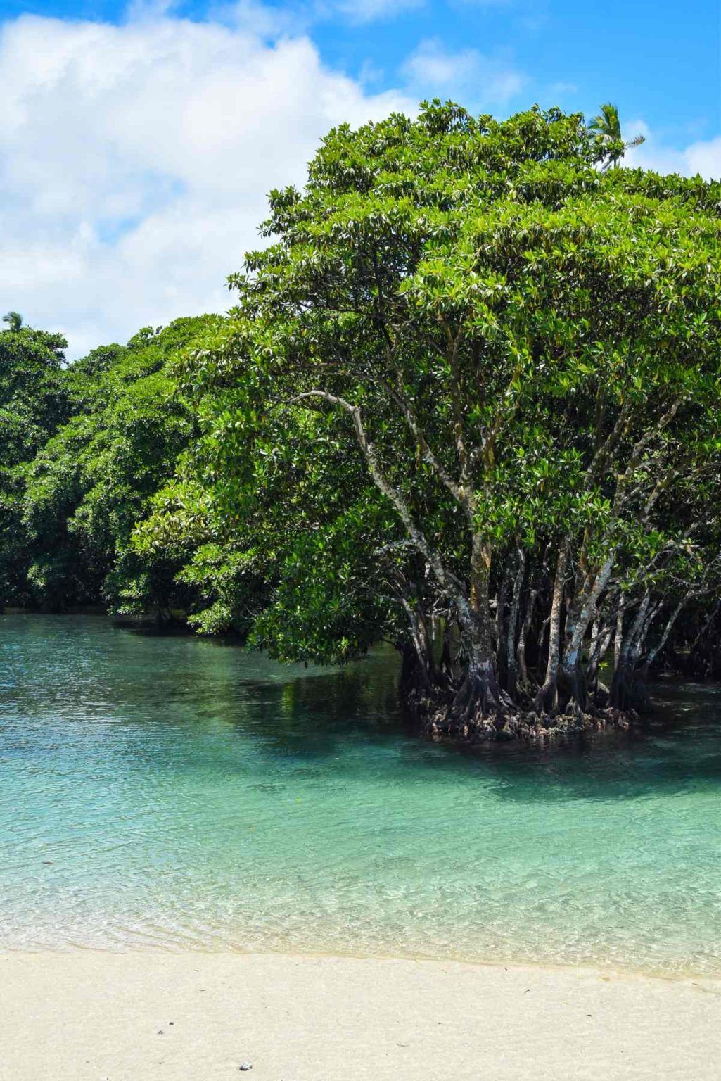 The Top 20 Natural Wonders in Samoa (+ Our Best Kept Secrets)