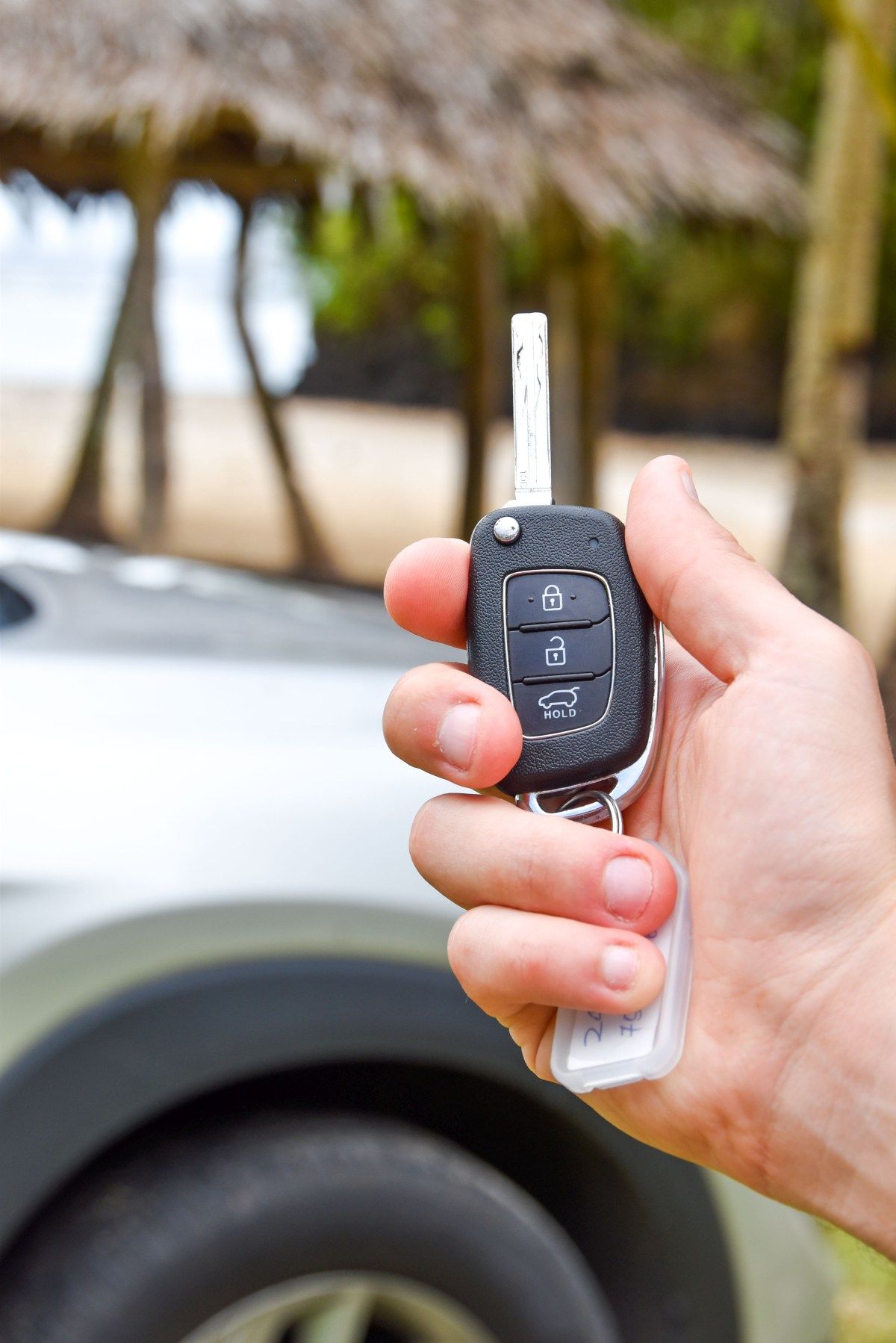 15 Best Car Rentals in Samoa 🚙 Our Honest Take