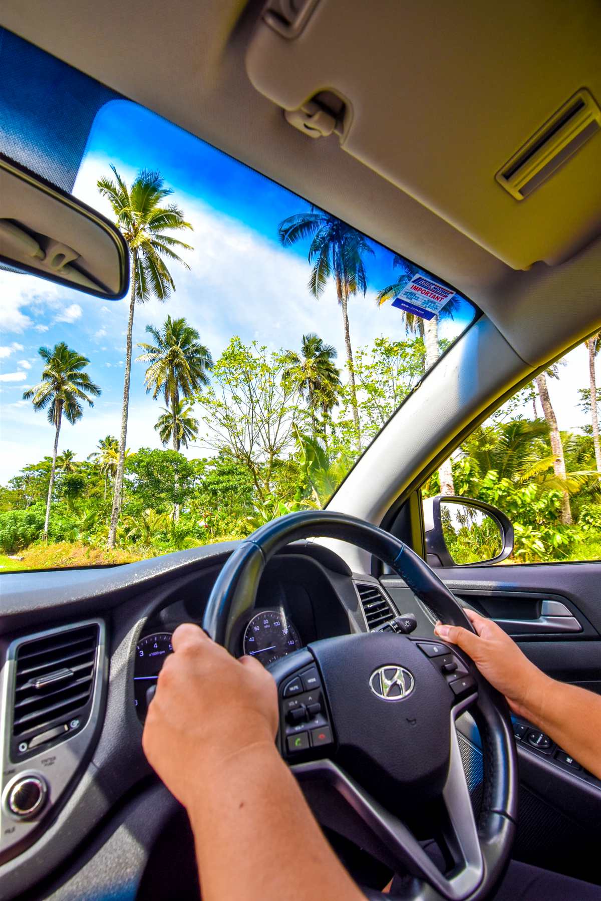 15 Best Car Rentals in Samoa 🚙 Our Honest Take