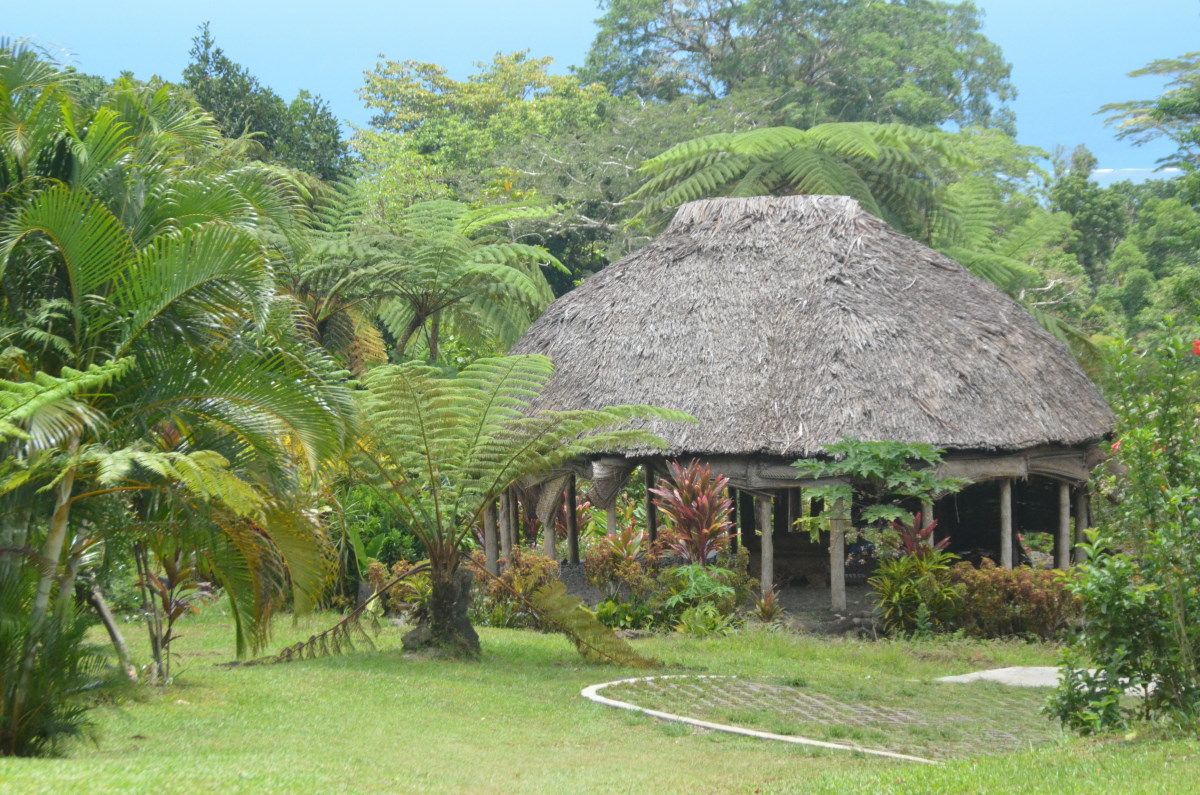 5 Best Spots for Stargazing in Samoa 💫 - Samoa Pocket Guide