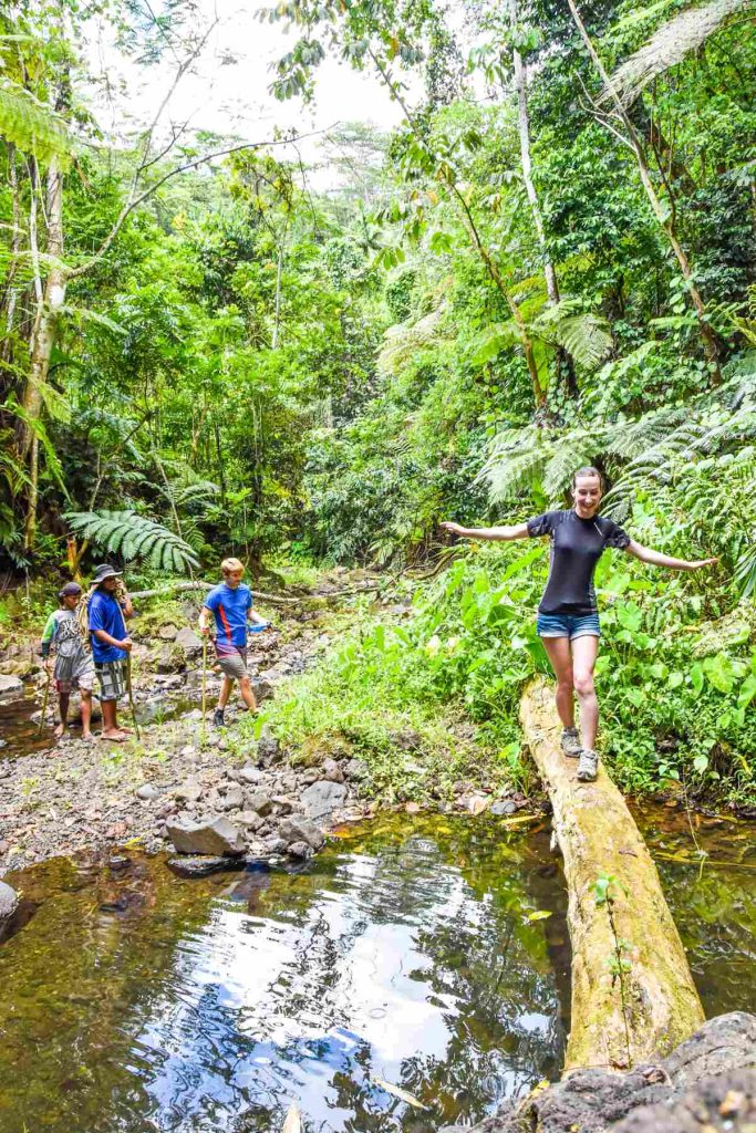 11 Best Eco Tours in Samoa - Samoa Pocket Guide