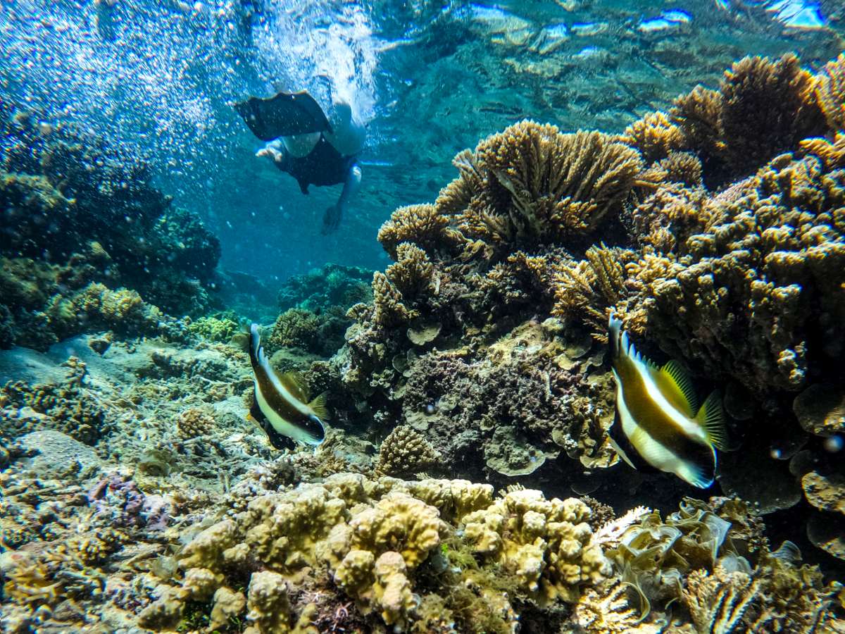 The Top 20 Natural Wonders in Samoa (+ Our Best Kept Secrets)