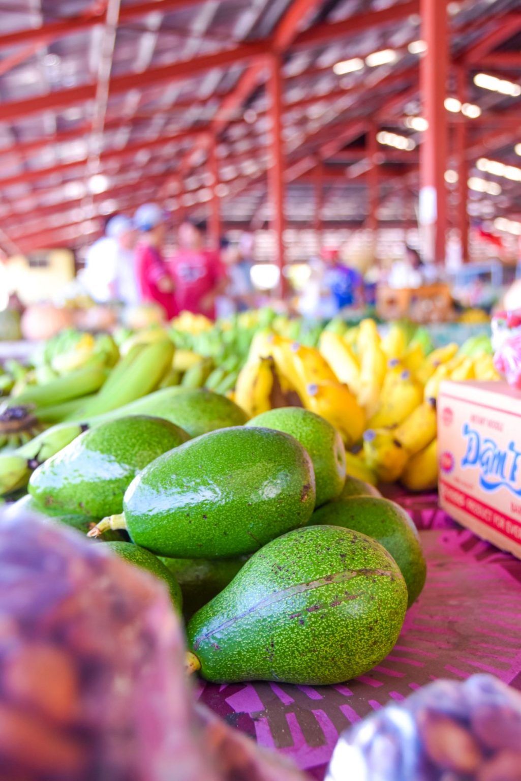 10 Exotic Fruits in Samoa You HAVE to Try! - Samoa Pocket Guide