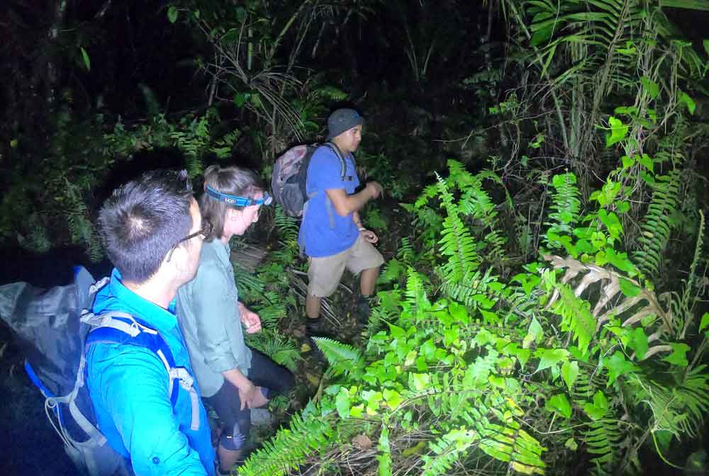 10 Things to Do in Samoa at Night - Samoa Pocket Guide