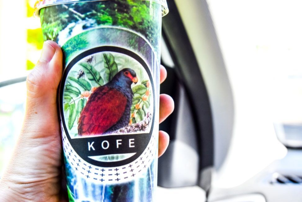 14 Drinks in Samoa You HAVE to Try ☕ - Samoa Pocket Guide