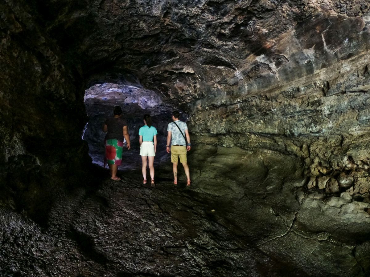 11 Best Nature & Wildlife Tours in Samoa - Samoa Pocket Guide