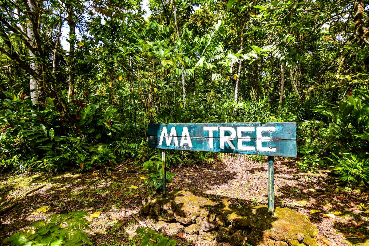 The Top 20 Natural Wonders in Samoa (+ Our Best Kept Secrets)