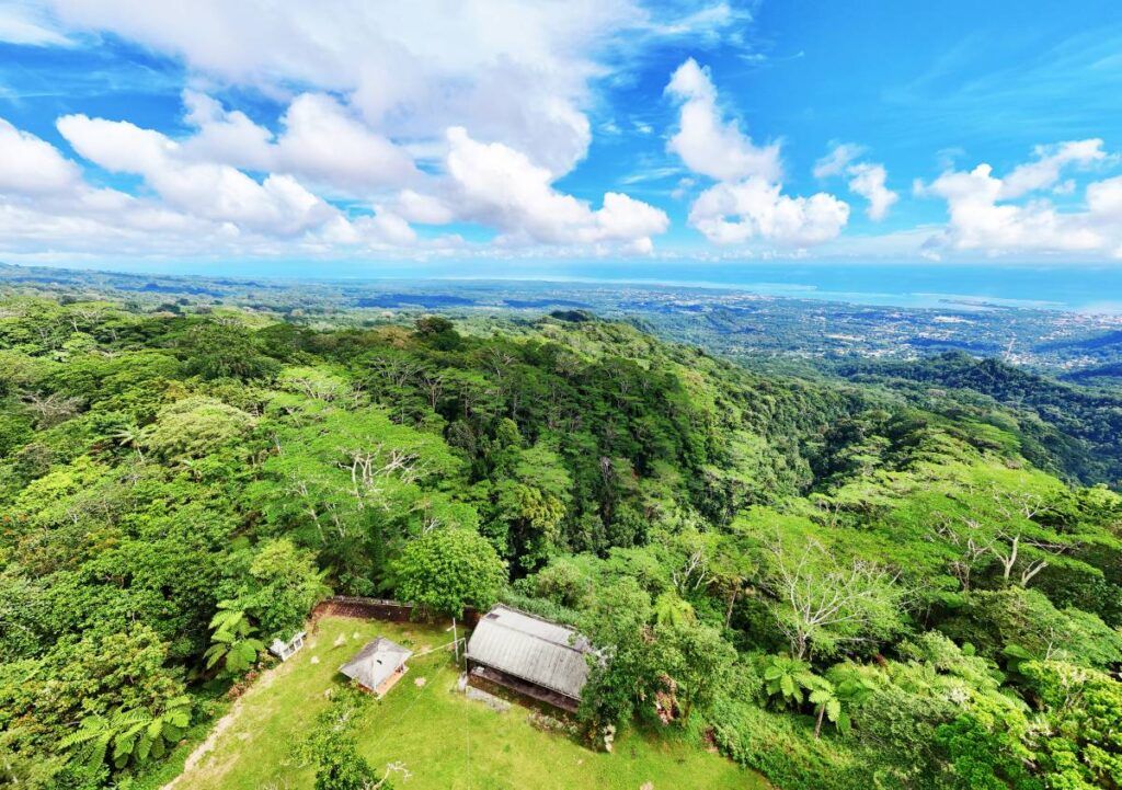 11 Best Nature & Wildlife Tours in Samoa - Samoa Pocket Guide