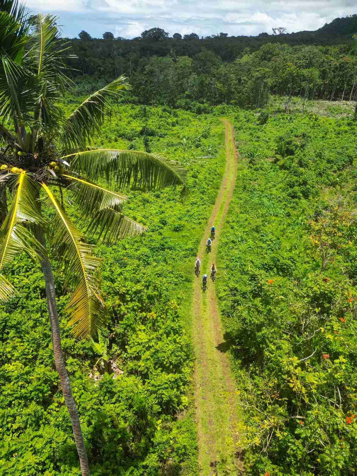 Samoa Transport Guide: 14 Best Ways to Get Around Samoa