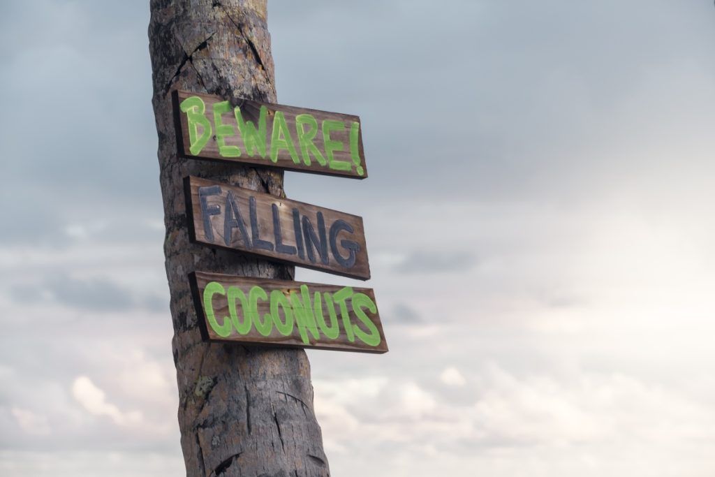 10 Safety Tips for Driving in Samoa - Samoa Pocket Guide