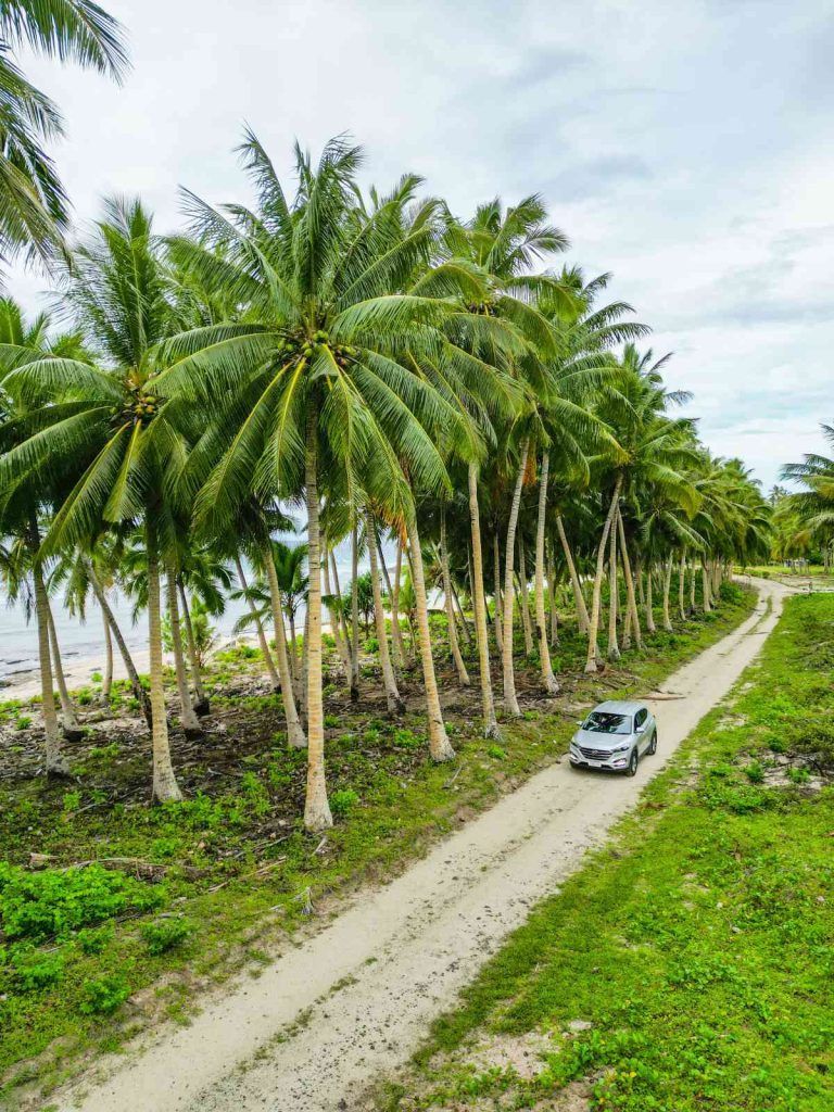 The Complete Guide to the Ports of Call in Samoa