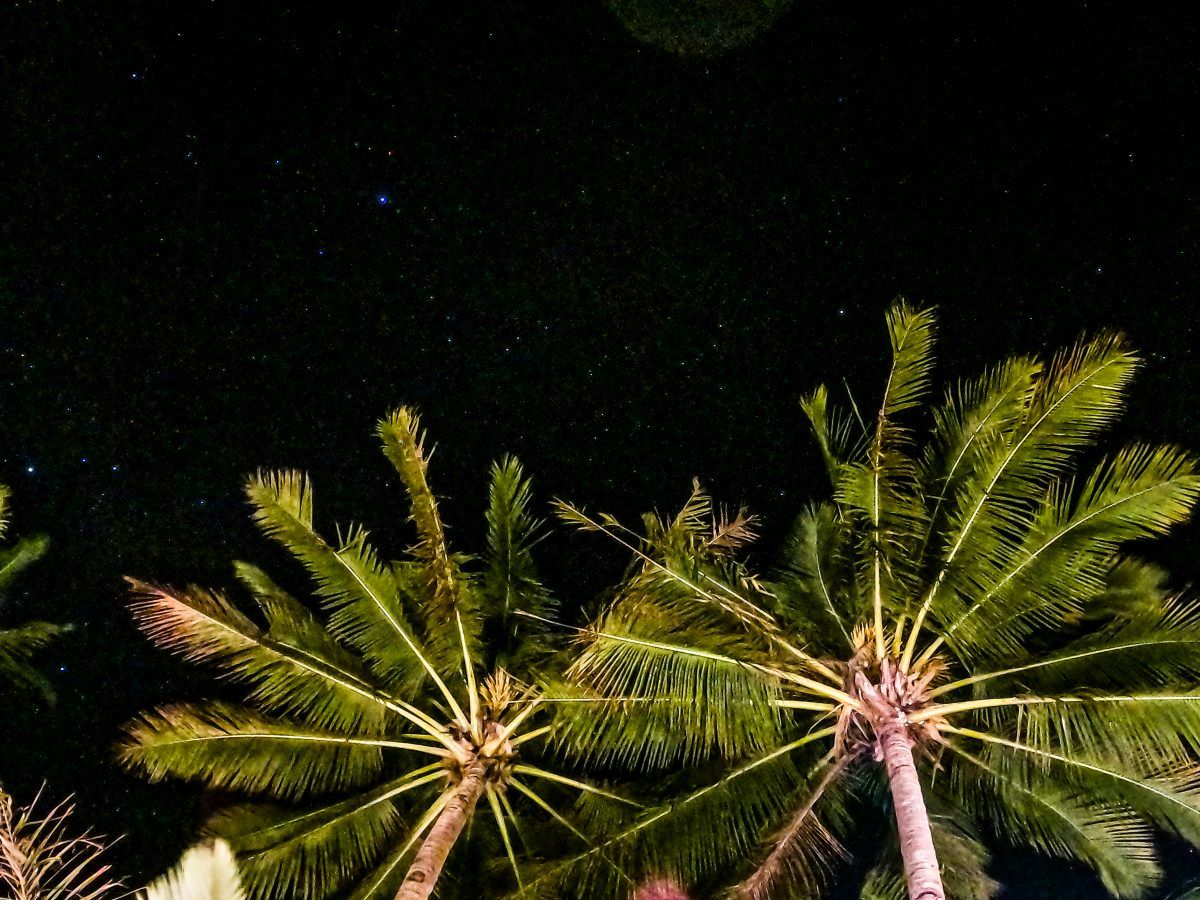10 Things to Do in Samoa at Night - Samoa Pocket Guide