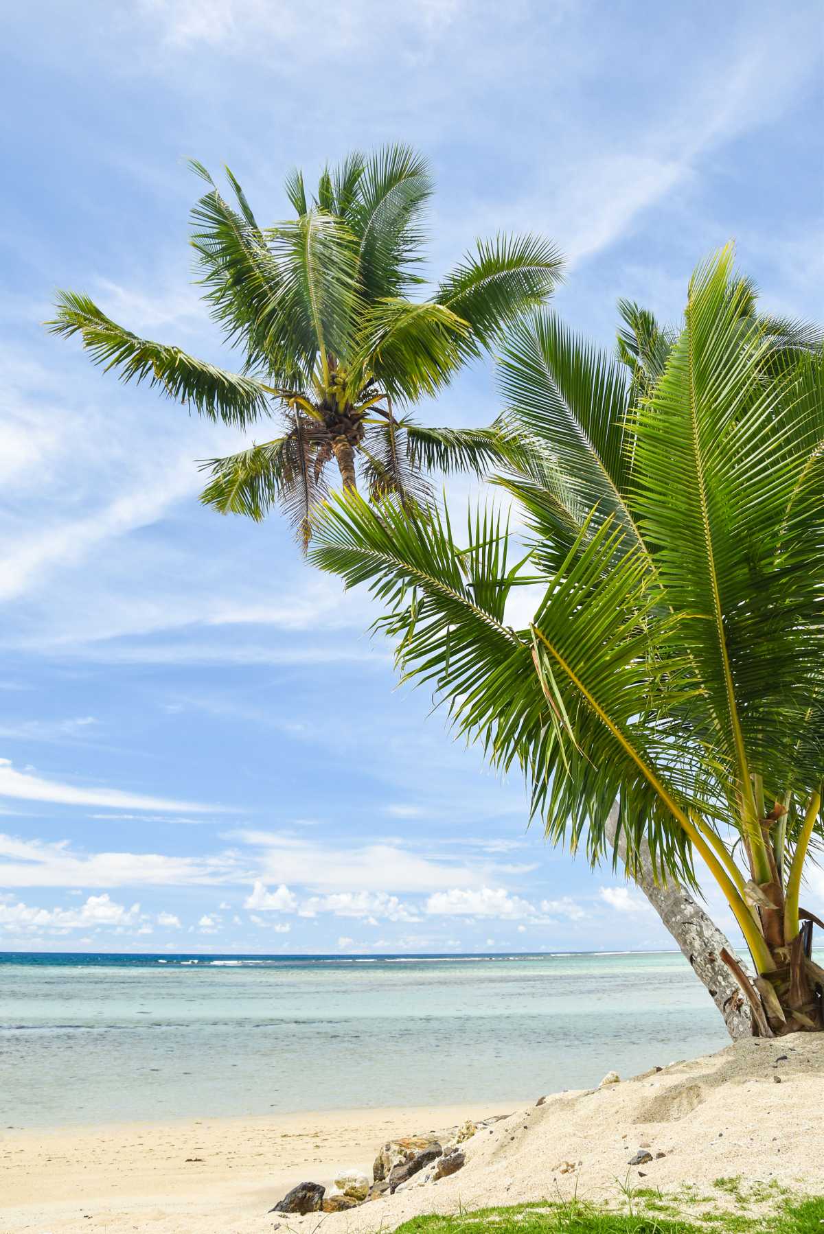 21 Best Things to Do in Samoa with Kids 👪 2026 - Samoa Pocket Guide
