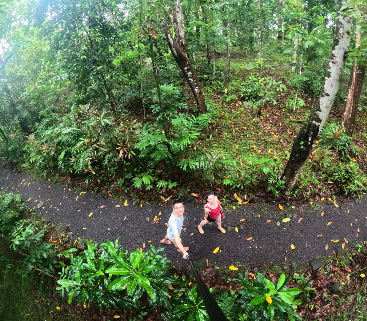 6 Best Places for Bird Watching in Samoa 🐦 - Samoa Pocket Guide