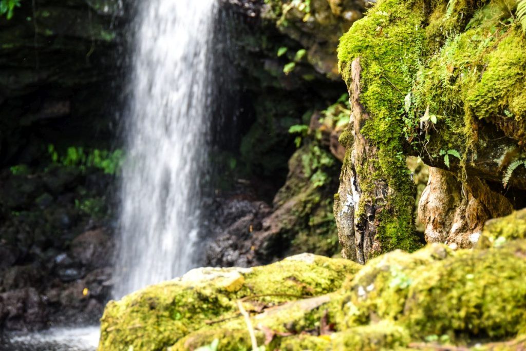 10 Best Guided Walks in Samoa 👟🌴 [2025] - Samoa Pocket Guide