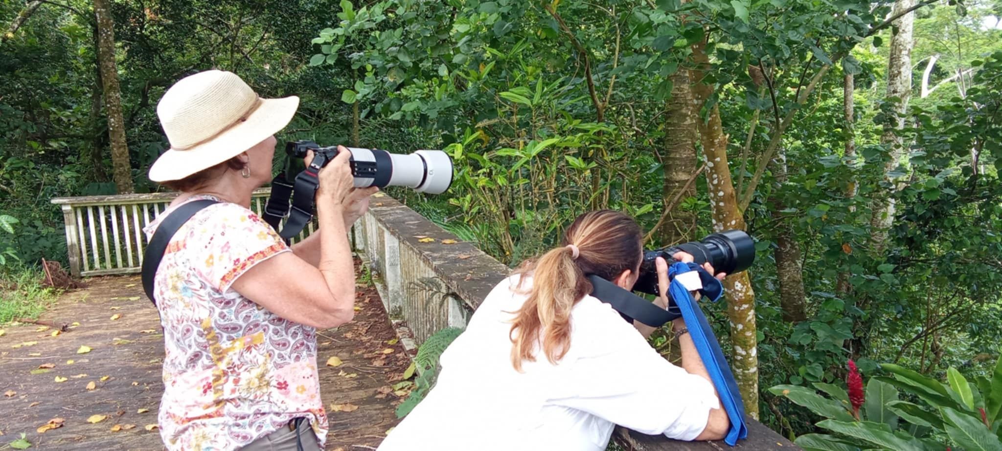 11 Best Nature & Wildlife Tours in Samoa - Samoa Pocket Guide