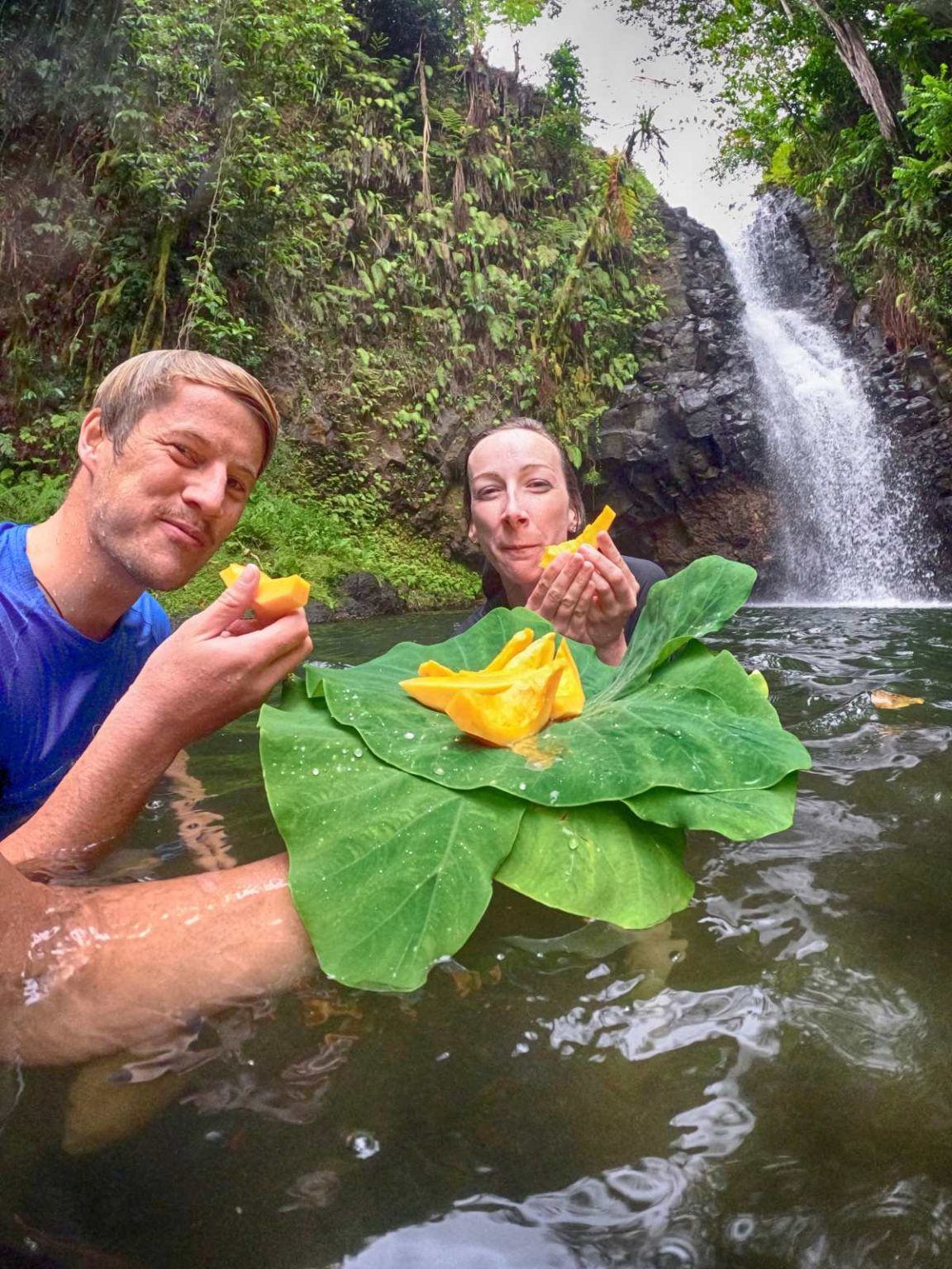 10 Exotic Fruits in Samoa You HAVE to Try! - Samoa Pocket Guide