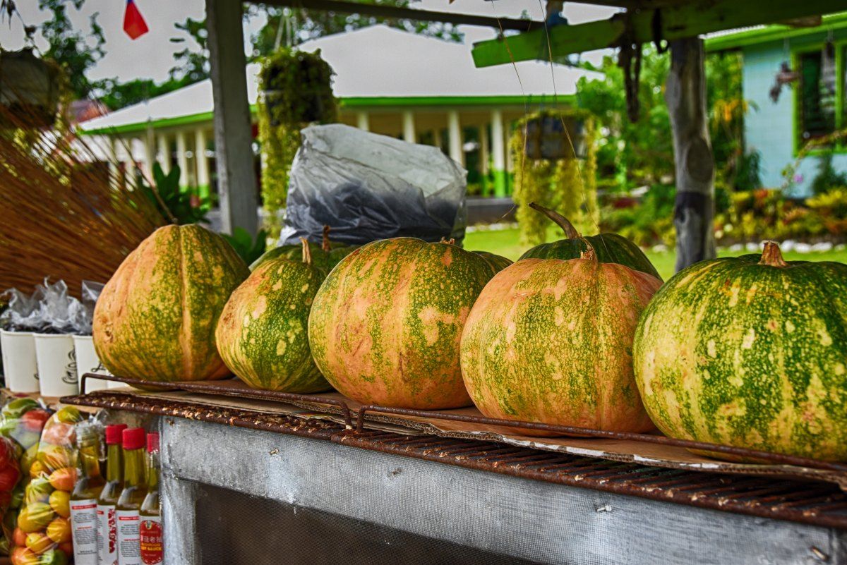 10 Exotic Fruits in Samoa You HAVE to Try! - Samoa Pocket Guide
