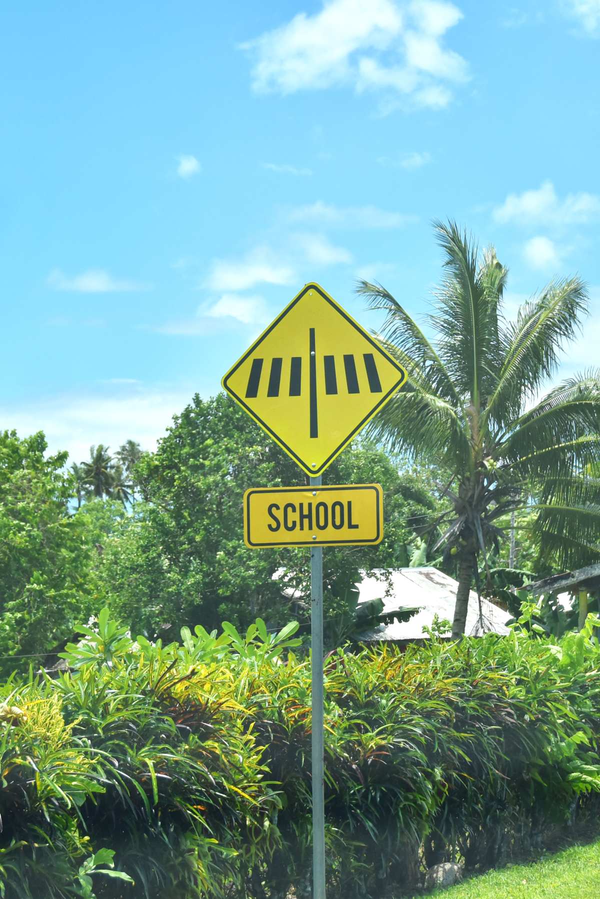 How to Drive in Samoa + 10 Road Rules You Need to Know ⛔